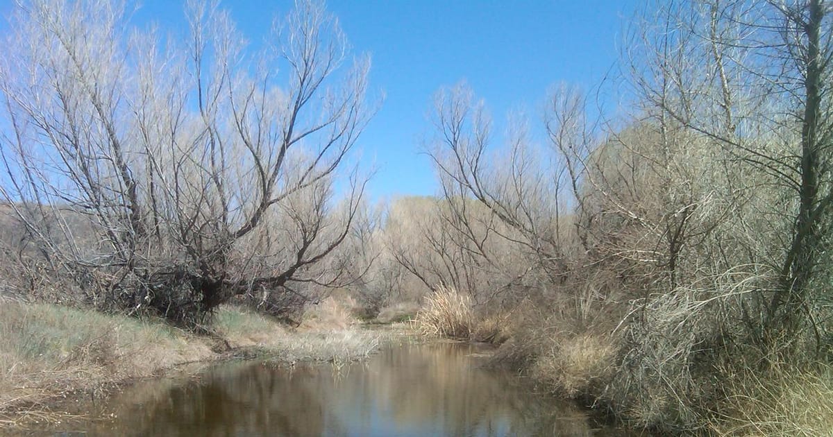 Kevin Scheer - Phoenix, Arizona, United States, Godaddy, Bachelor of ...