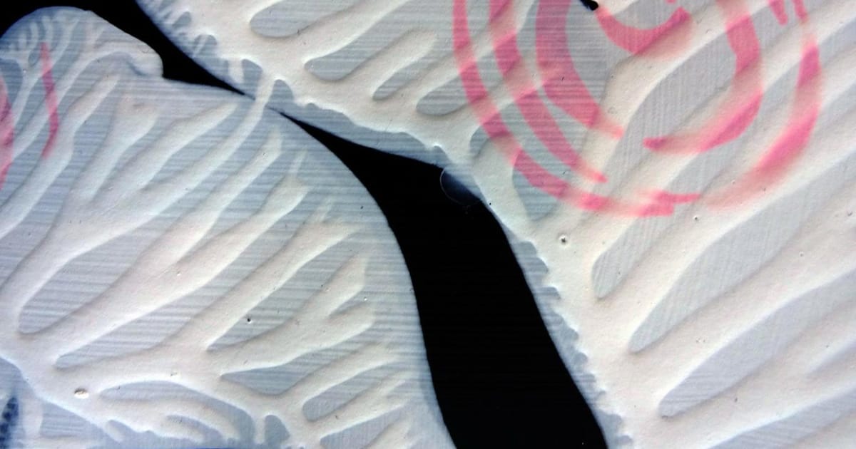 Kim Goldberg - Fort Worth, TX, San Fransisco Art Institute, BFA | about.me