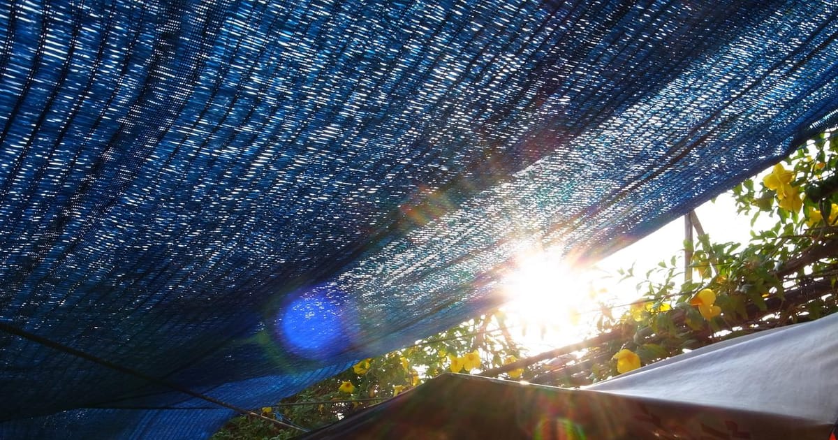 Kimi Chang - Kaohsiung, Taiwan, Republic of China Military Police ...