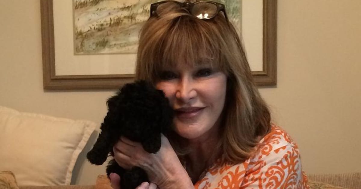 suzanne cameron - Eureka at and Amelia island fl, Owner oh floral ...