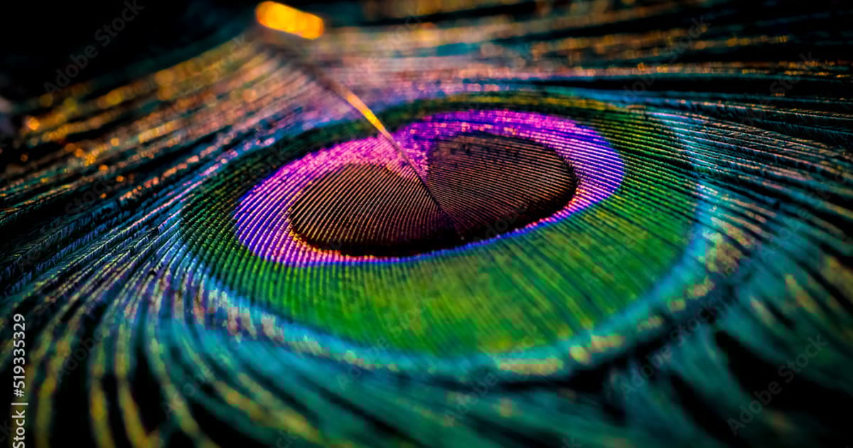 Krishna Vaishnav - India | about.me