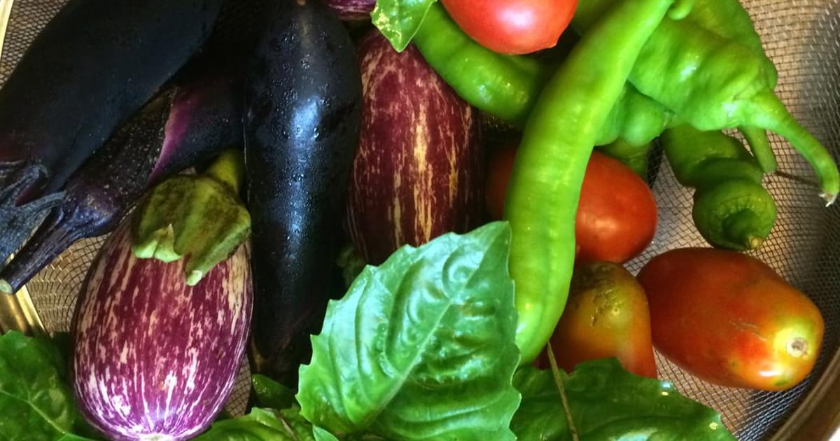 Karen Riggins - Nonesuch, KY, Farmer and Quilt Artist., BA from Purdue ...