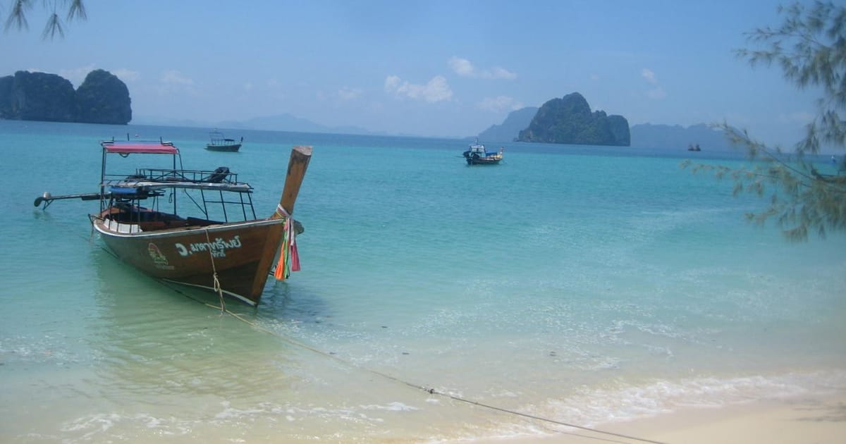 Camilla Lambert - North London, Bournemouth, Bournemouth University ...