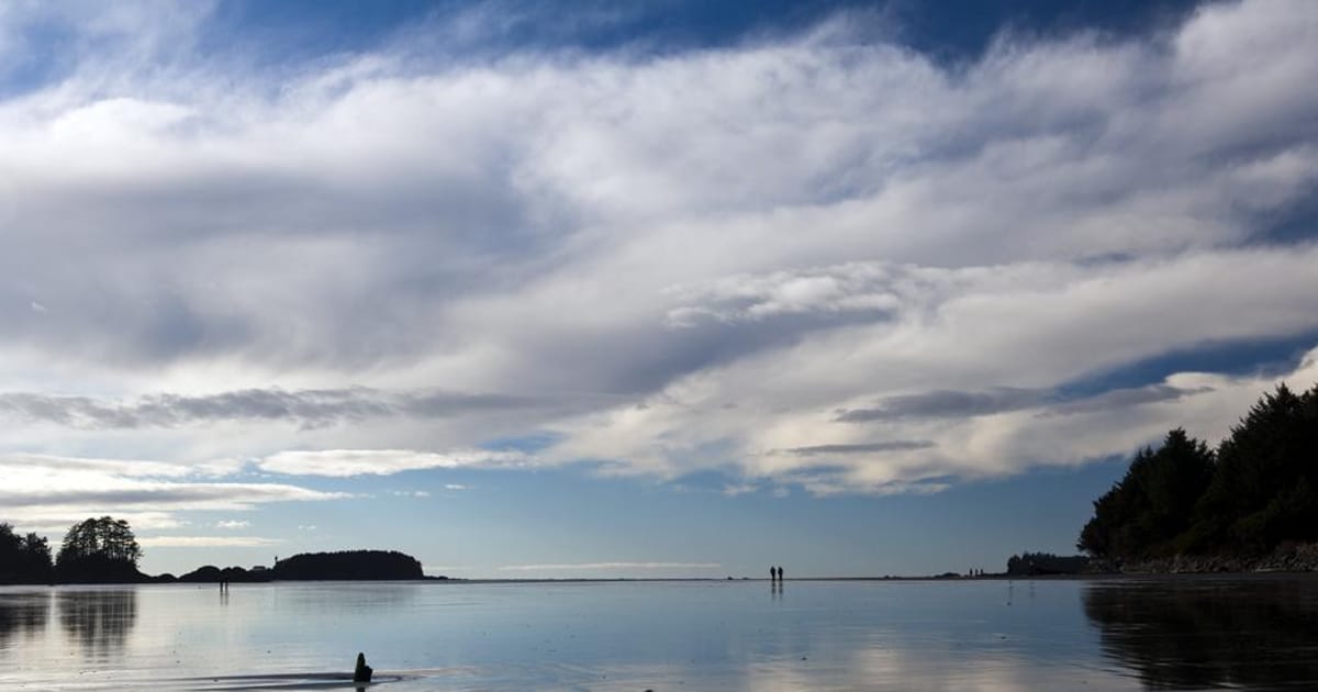 Lee-Anne Stack | about.me