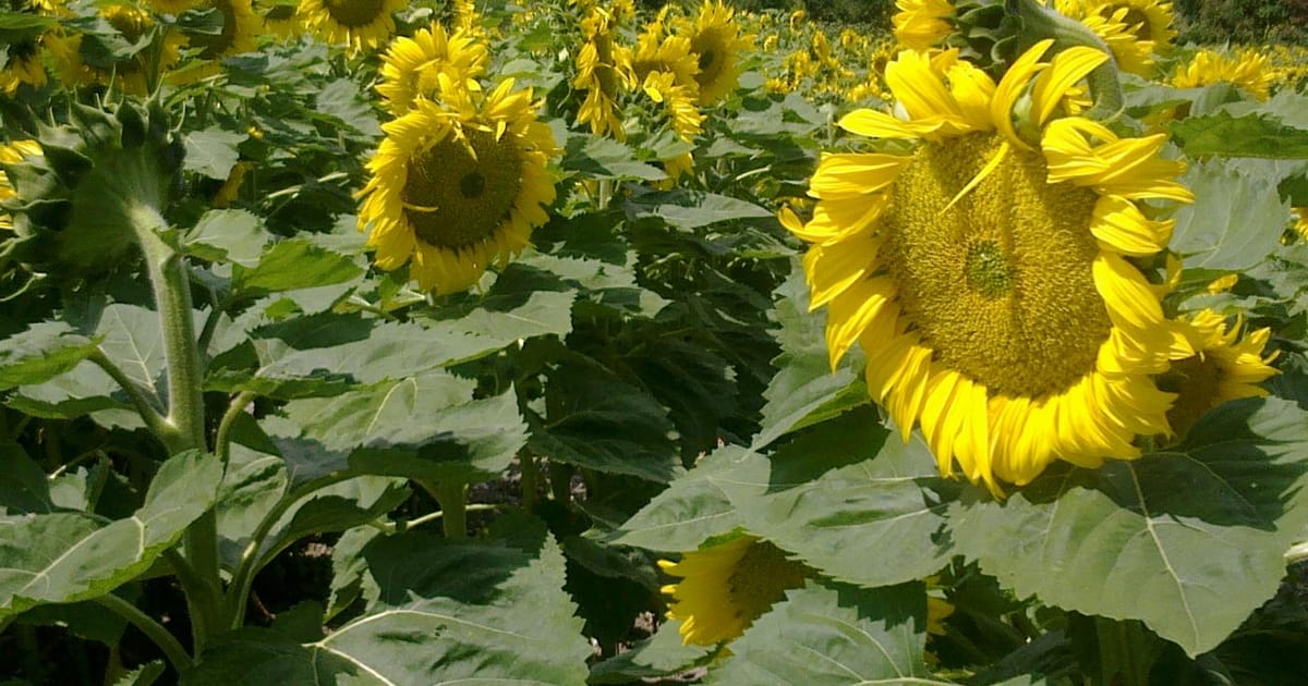 Libby Anson - Glasgow, soon to be living off the Byres Road, Glasgow ...
