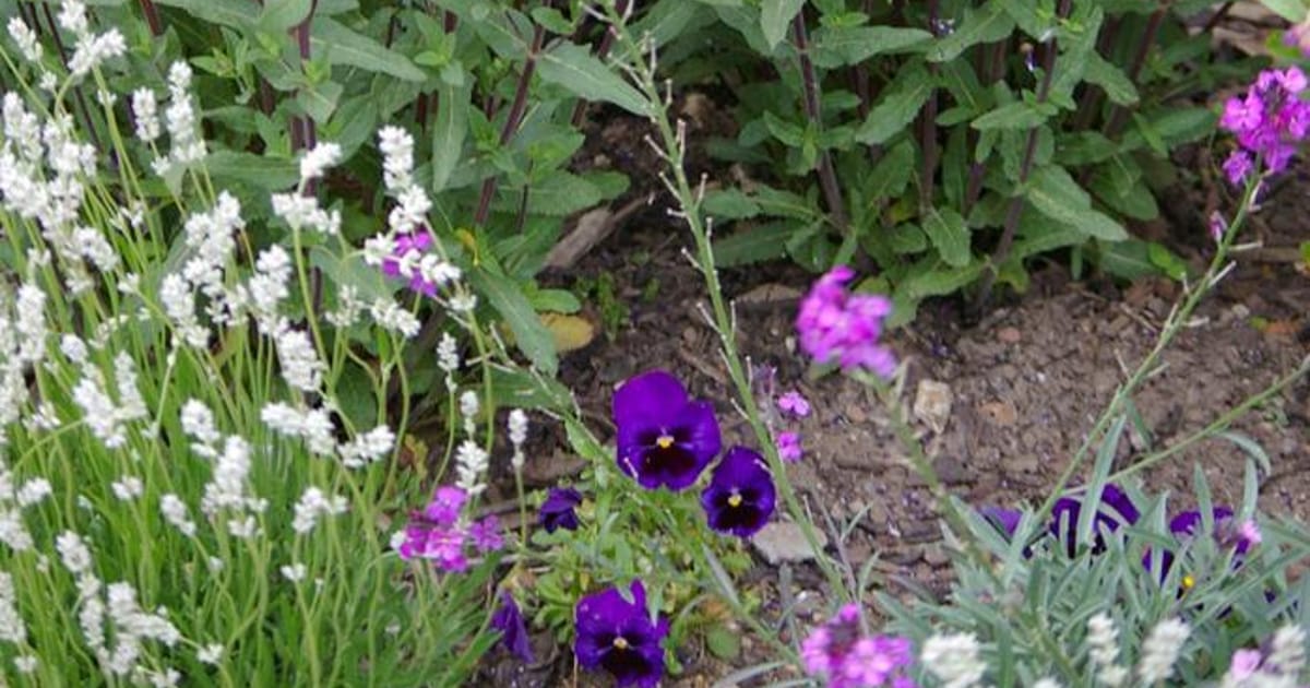 Lisa Vickerage - Rotherham, Rawmarsh Comprehensive School, Thomas ...