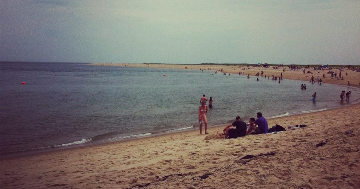 Lizzy Dunne - Tempe, Arizona, Ann Taylor Loft, Gold's Gym, Arizona ...