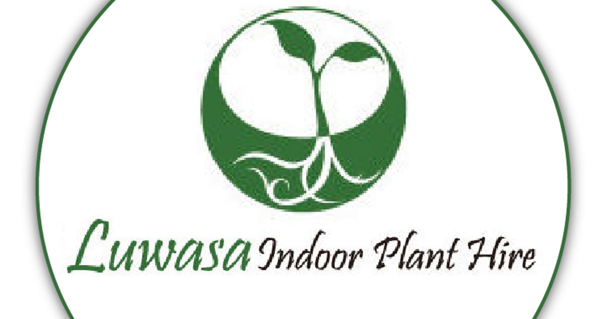 Luwasa Indoor Plant Hire - 2B/56 Sarton Road, Clayton, Victoria 3168 ...
