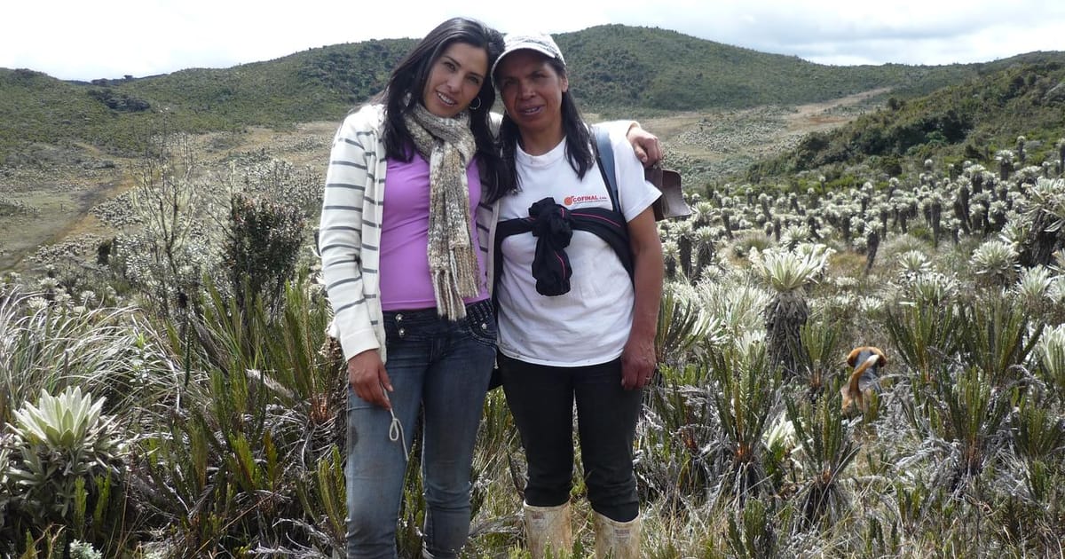 Dora Mabel | about.me