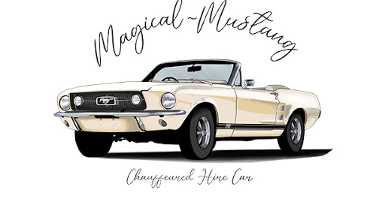 David Checkley - Newcastle, NSW, Magical Mustang | about.me