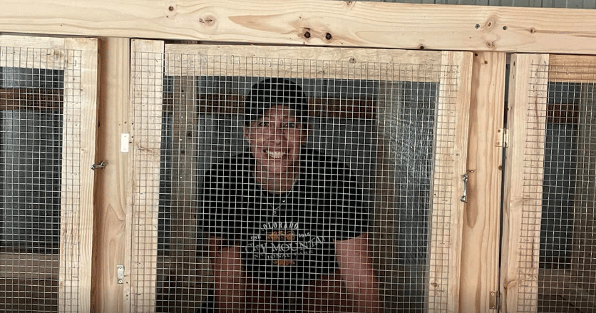 Maisy Flemish Rabbitry - Quakertown, PA | about.me