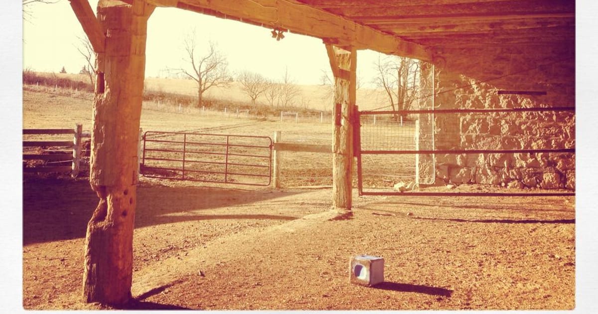 Manon Germain - Chief Innovation Officer & Founder - Pi Network | about.me