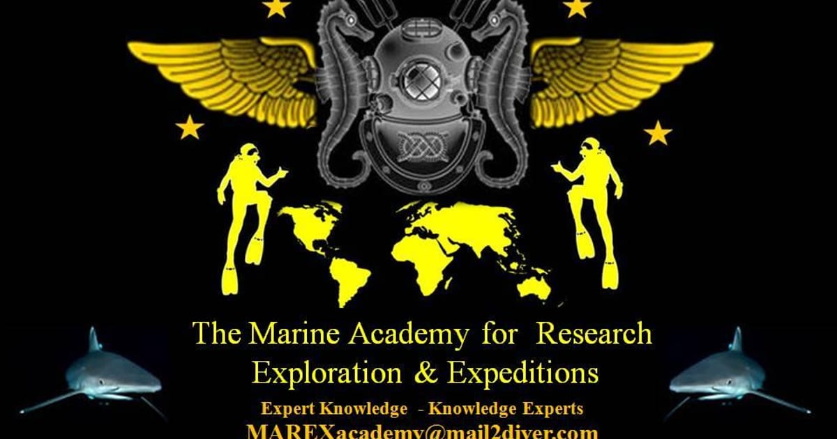 MAREX ACADEMY - Montenegro, Budva, WWW.MAREX.ME, English Francais Espanol Italiano Ruski ...