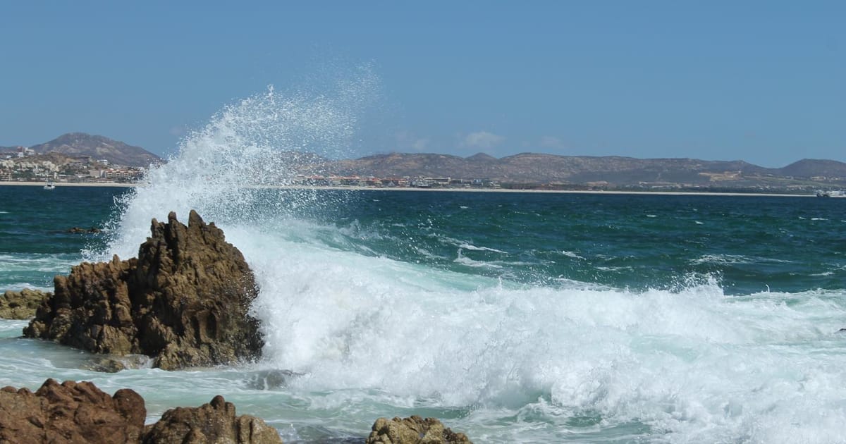 Maria Leman - Morton, IL, Illinois State University | about.me