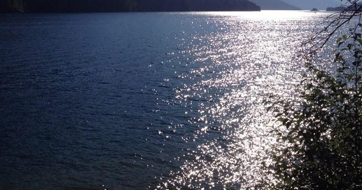 Marina Guy Vancouver Bc Smart Savvy Associates About Me