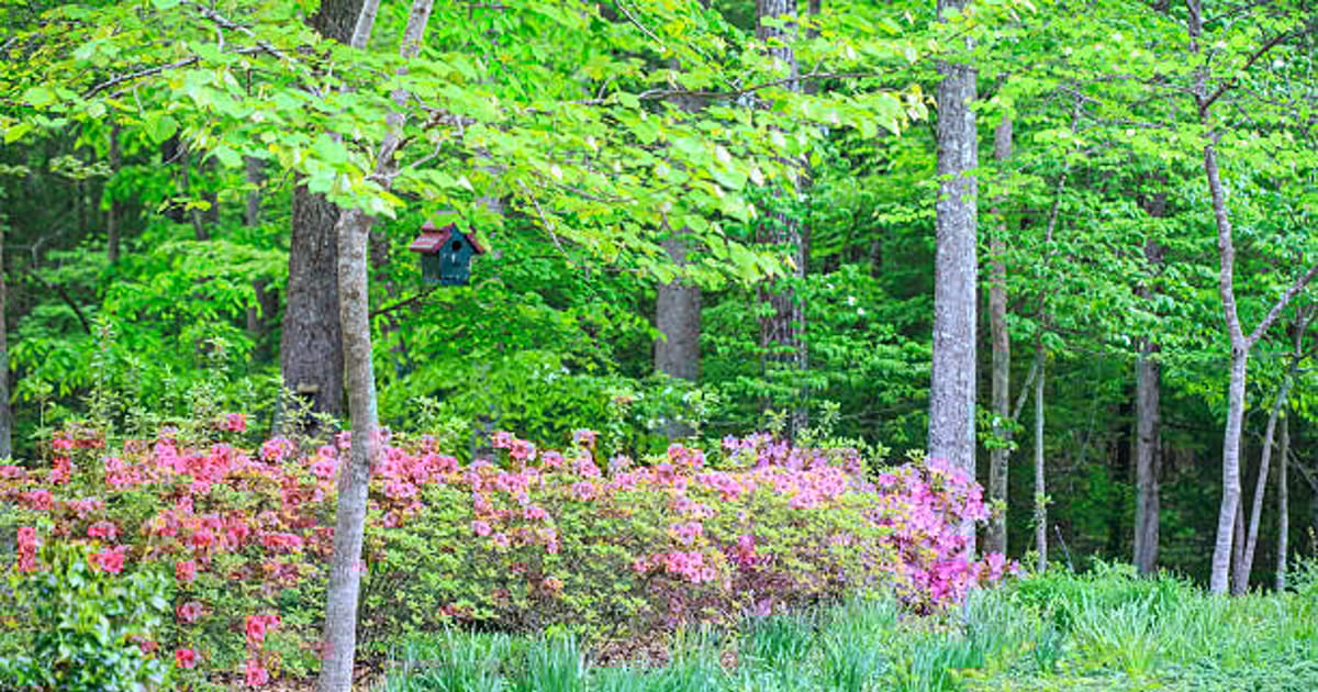 mark cline - New York | about.me