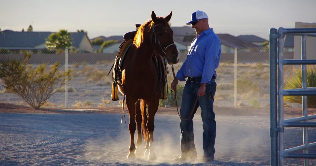 Mark Pallotta - Las Vegas, Nevada, United States, PKMM Inc., United ...