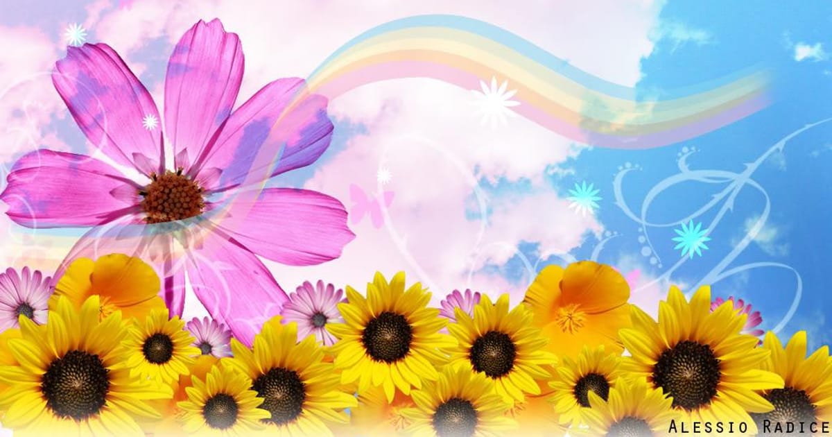 Marya Sutimi | about.me