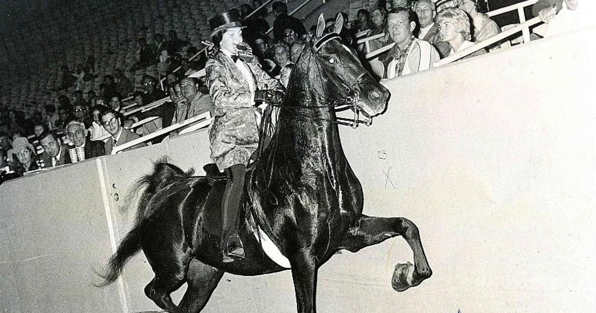 Mary Phillipa Sledge | about.me