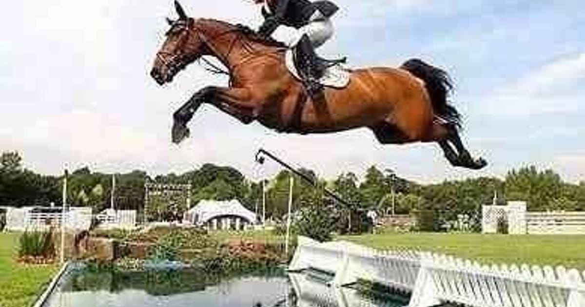 Kathy Masters - Ponoka, Certified Equine Sports Therapist, Continuing ...