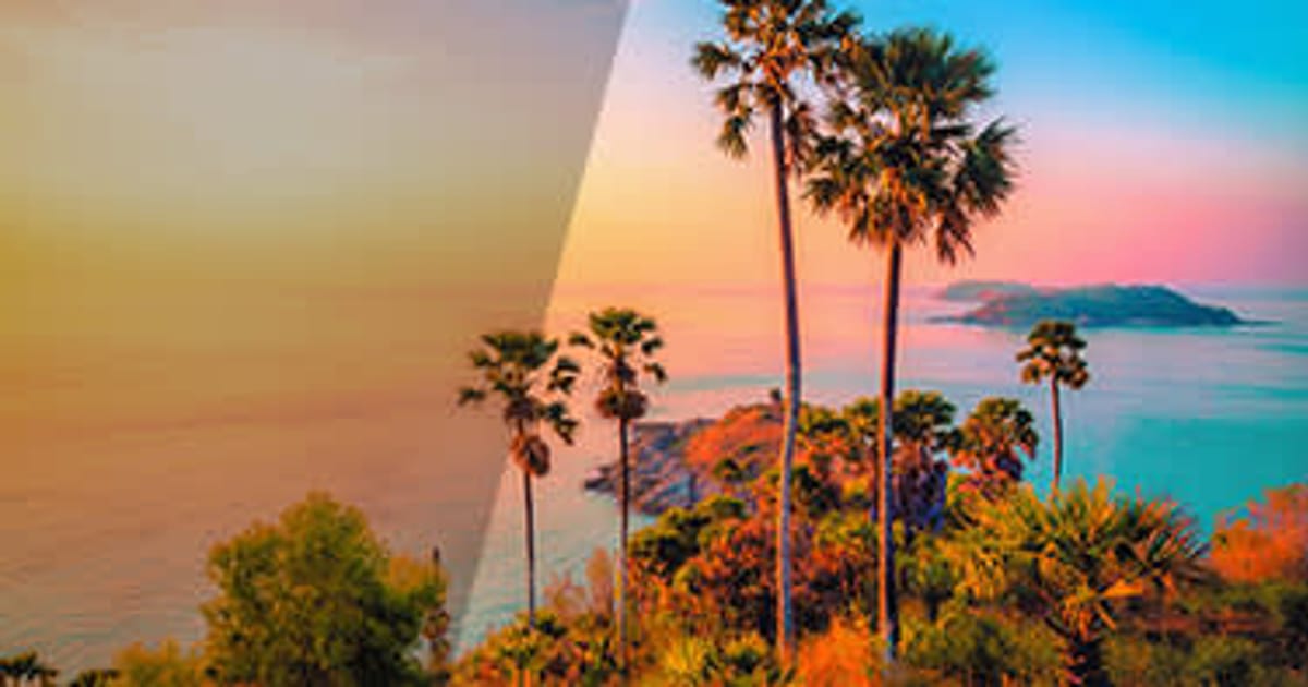 Maxine Foster - uk | about.me