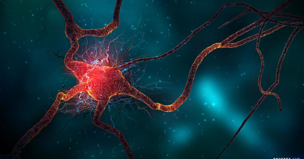 Meg Cloud - Saint Louis | about.me