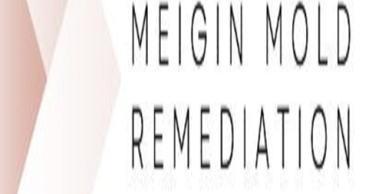 Meigin Mold Remediation - 1105 Myrtle Ave Sanford, FL, 32771 | about.me