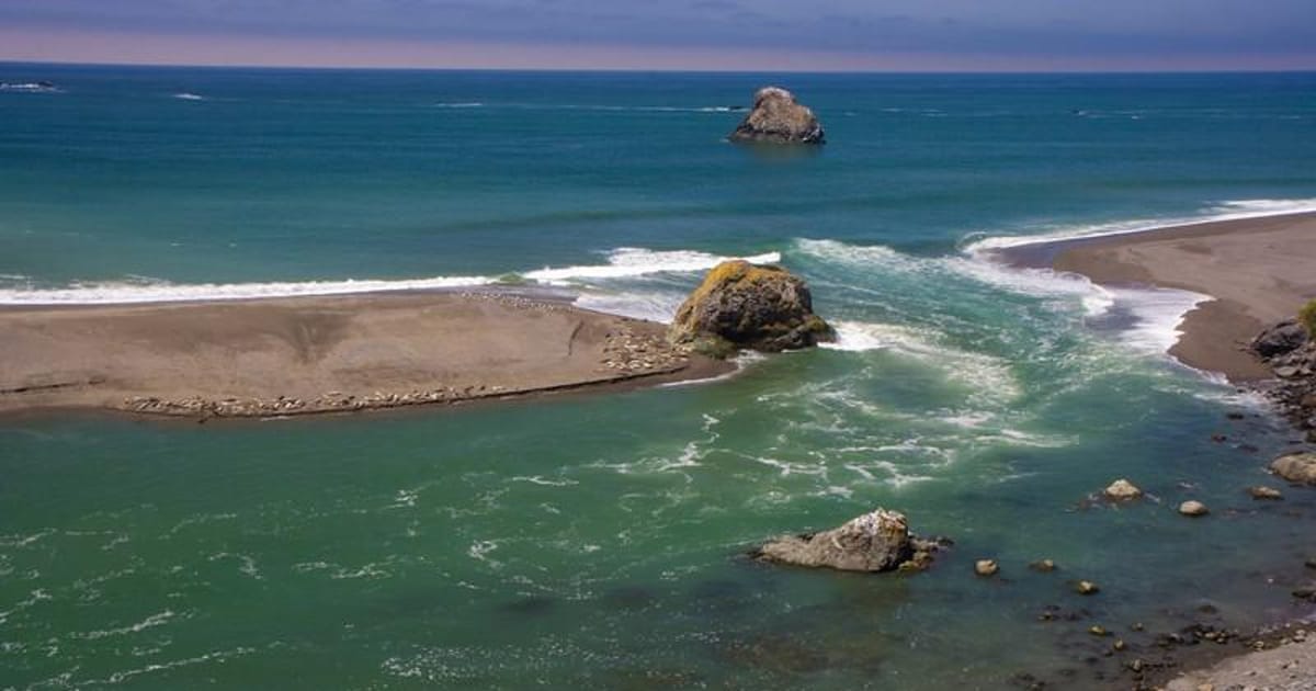 Melanie Heim - Santa Rosa, California, Artist at ARTthroughGRIEF, AS ...