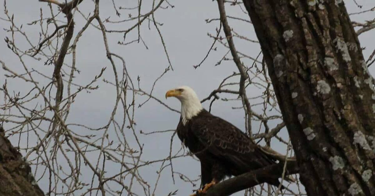 Merle Bowers - Lee's Summit MO, Connector of People, EdSp in Secondary ...