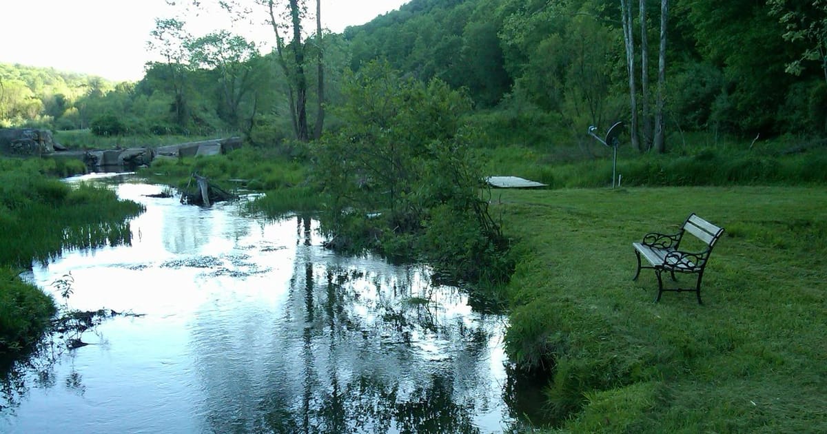 Michael Hockman - Capon Bridge West Virginia, Business and Acqusiitions ...