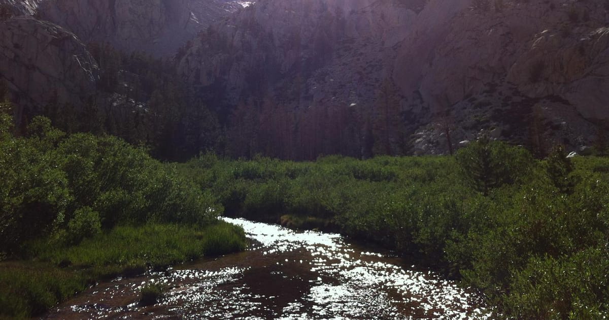 Michael Halberg - Marina Del Rey, Ca, Venice, Ca, Tampa, FL ...