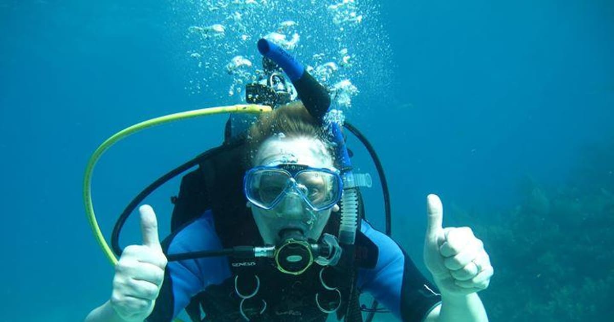 Michael Wellner - Naperville, Illinois, United States, Senior Brand ...