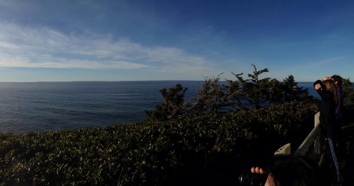 Mike Guess - Portland, Oregon, Alliance, Ohio, Deka Talenta, Inc ...