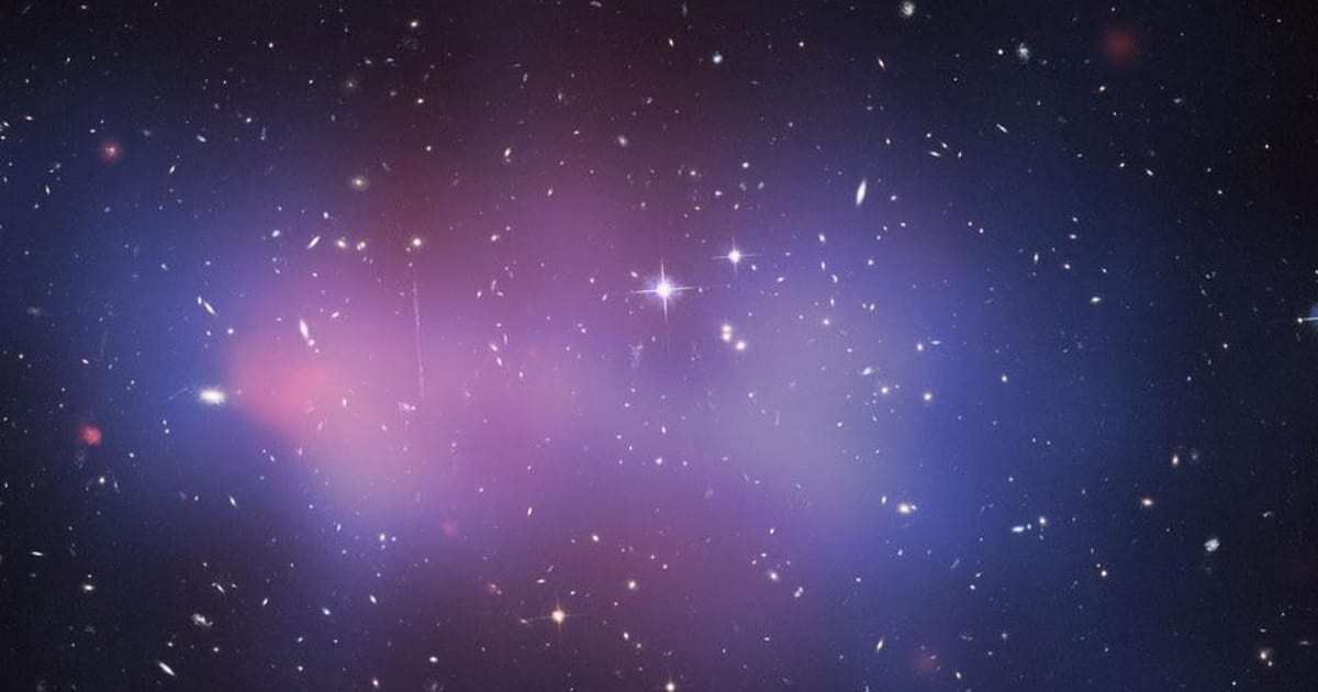 Mimi Banks - South Brisbane, Queensland, Bond University | about.me