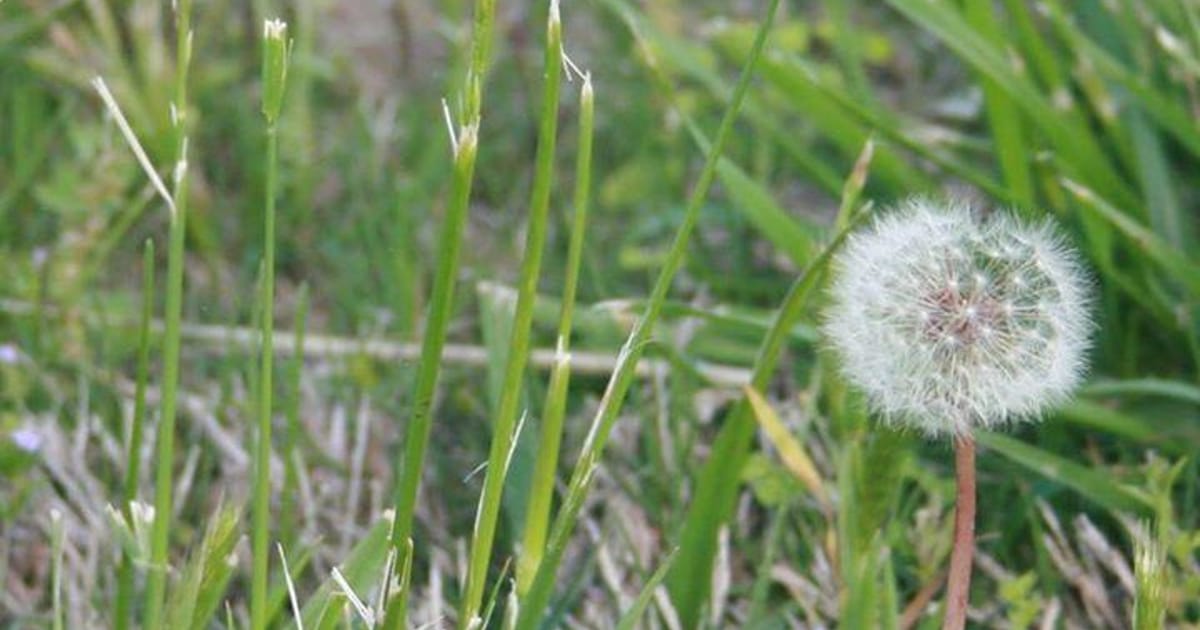 Misty Whitehead - Holly Springs, Mississippi, Lexington Pointe, Vera ...