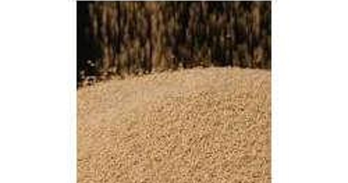 Mitushi Pharma | about.me