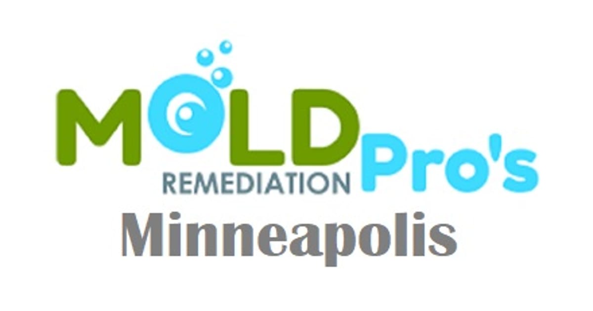 Mold Remediation Pros Minneapolis - 1501 E Lake St, Minneapolis, MN ...