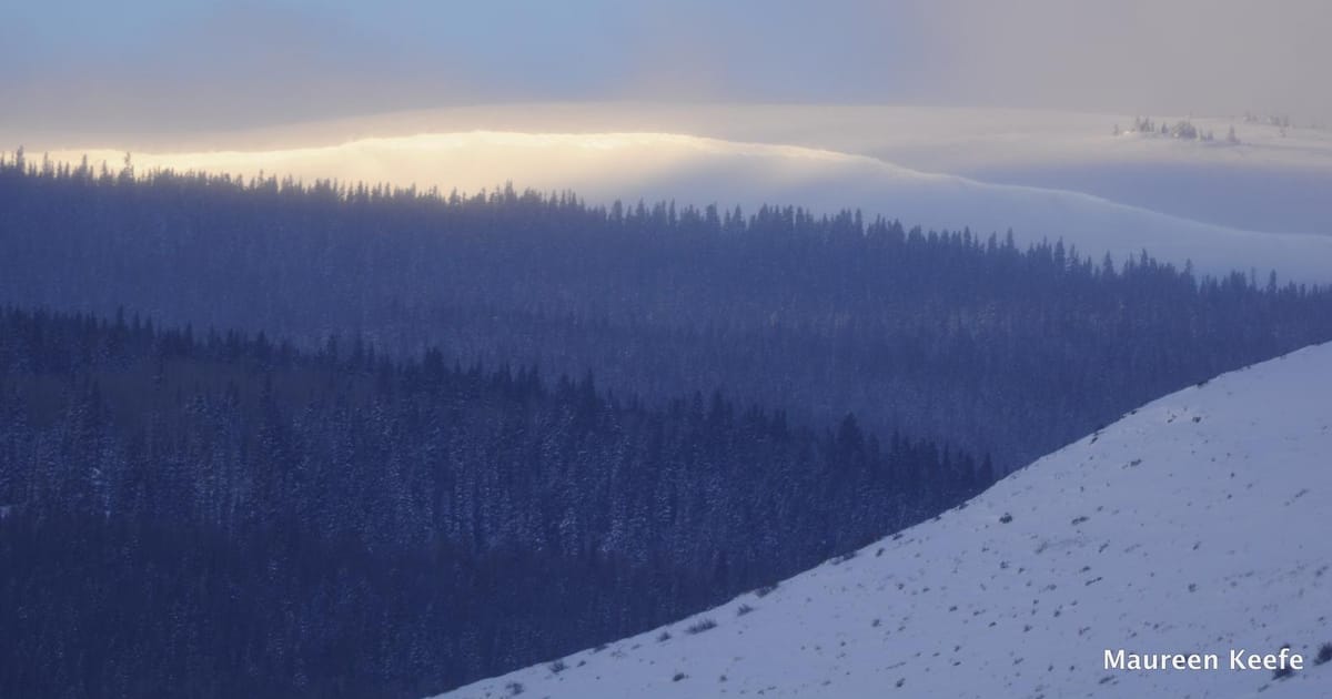 Mona Lisa Snodgrass | about.me