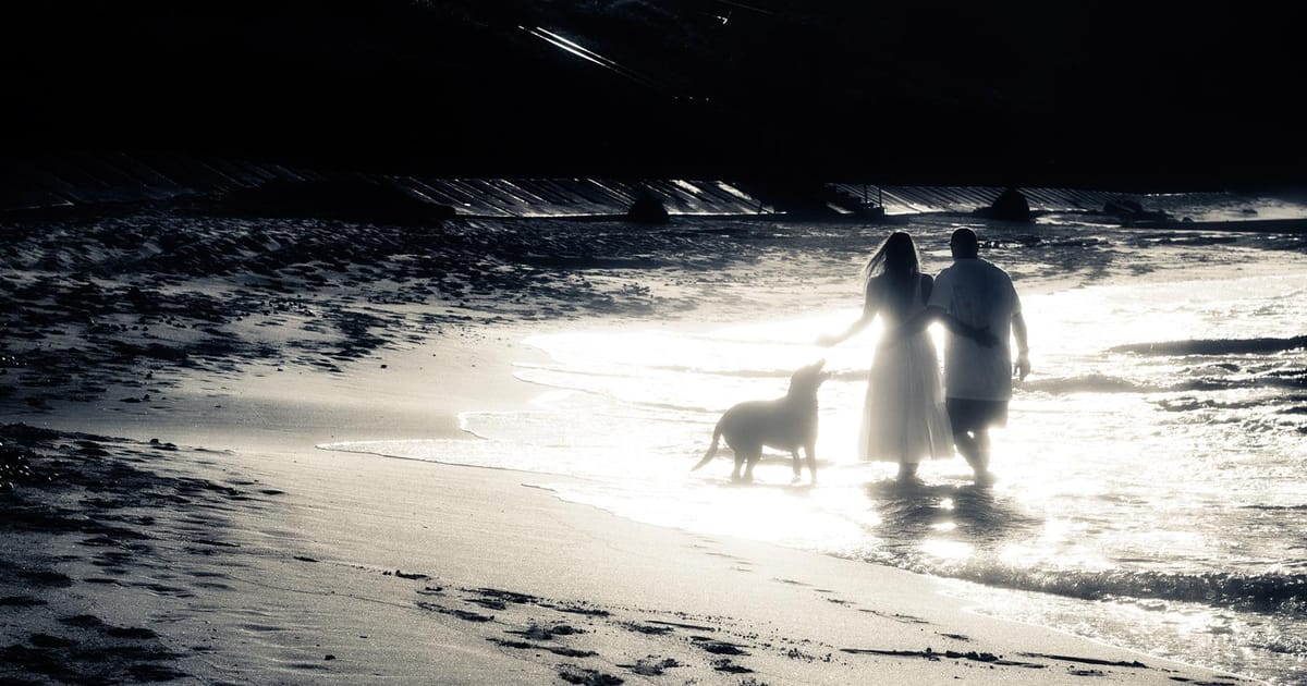 Monica Schwartz | about.me