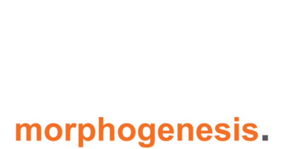 Morphogenesis Architects - Plot No. 41, Industrial Estate, Okhla Phase ...