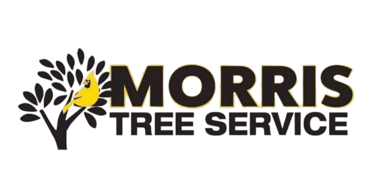 Morris Tree Service - Florida | about.me