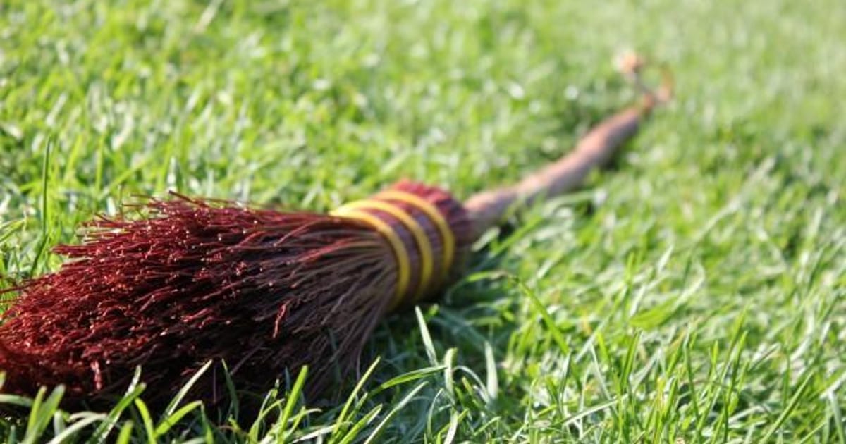 Mugglesam - Toronto, Canada, Bachelor of Science | about.me