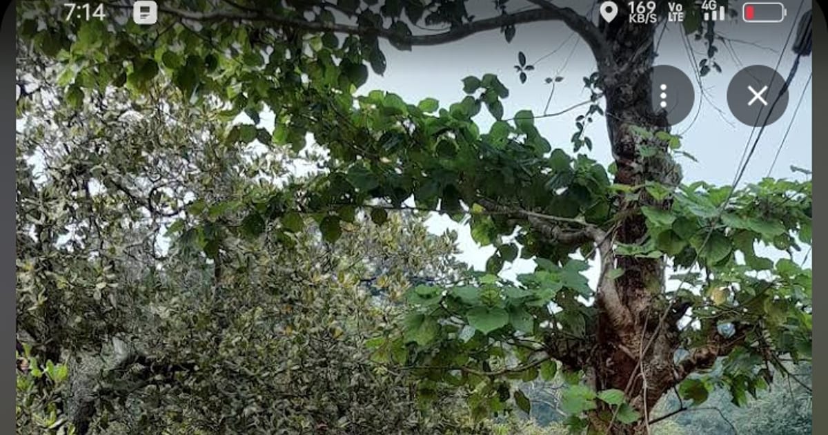 BOMMATHI NAGACHARAN TEJ - India | about.me