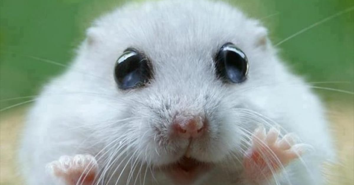 Nancy Kinney - Kentucky | about.me