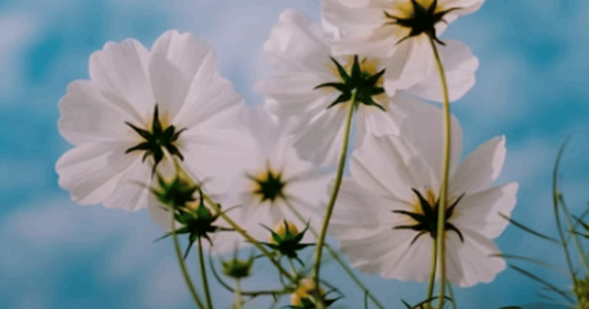 Nicholas Groth - Wisconsin | about.me