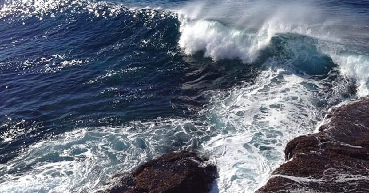 Nick Bowyer - Sydney, London | about.me