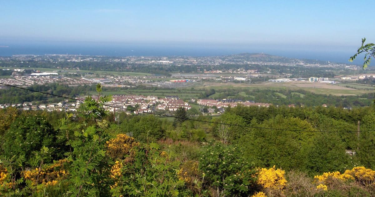 Noelle Daly - Ireland, Dublin, Director at Swap-Able.com | about.me