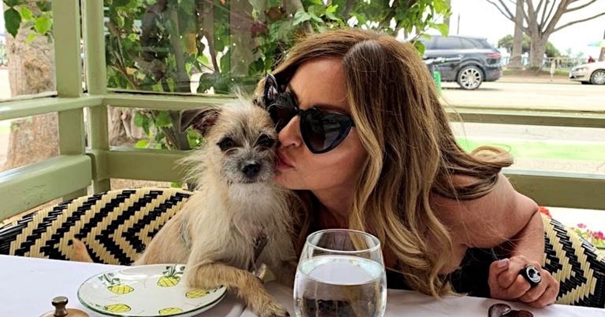 Noelle Halcrow-Stanford - Vancouver, BC, Canada, Parsons | about.me