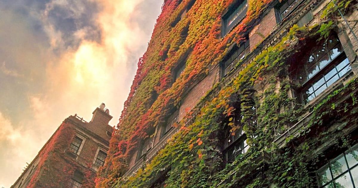 Nora Bora | about.me