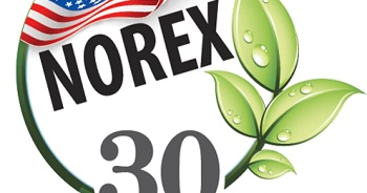 Norex Flavours - USA | about.me